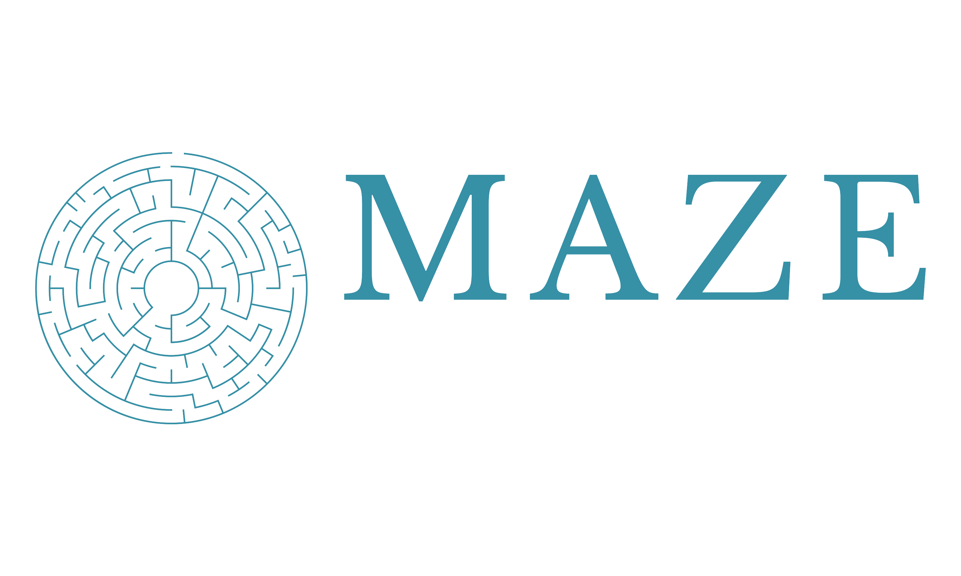 Maze Recruitment Group